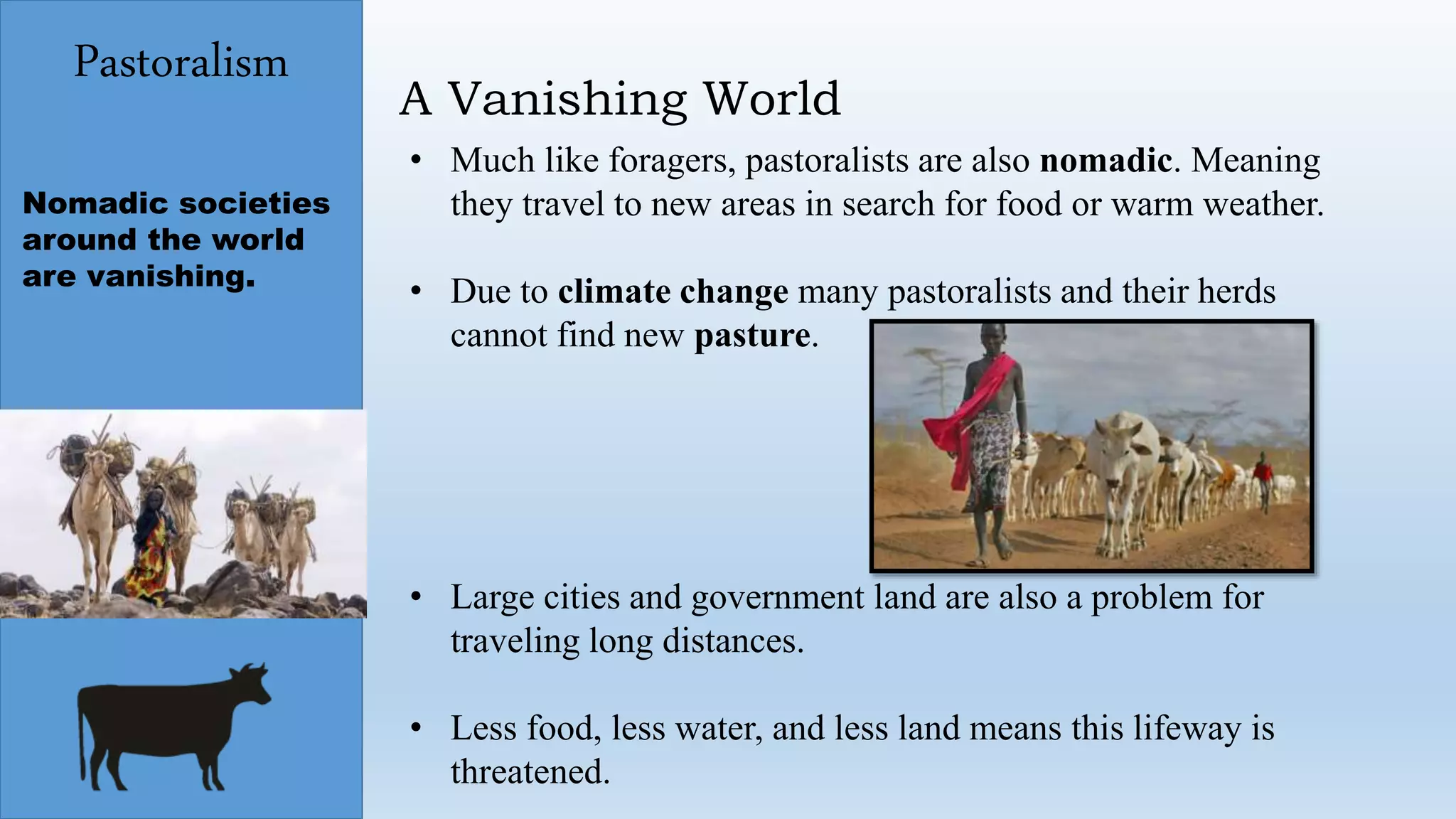 Subsistence strategies | PPT