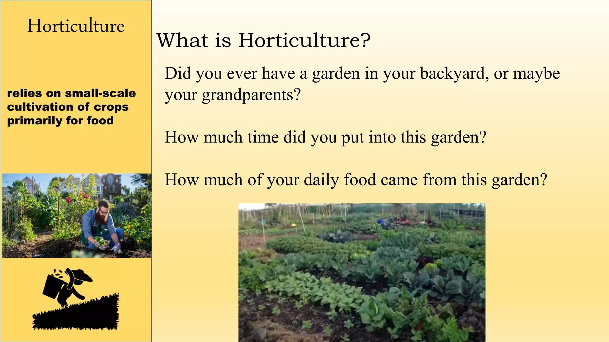 Subsistence strategies | PPT