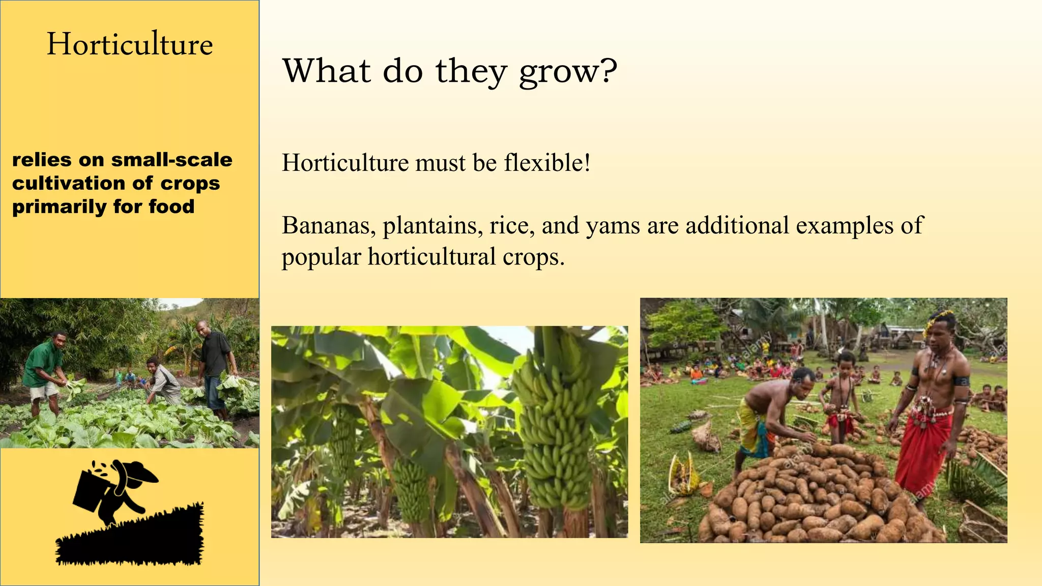 Subsistence strategies | PPT