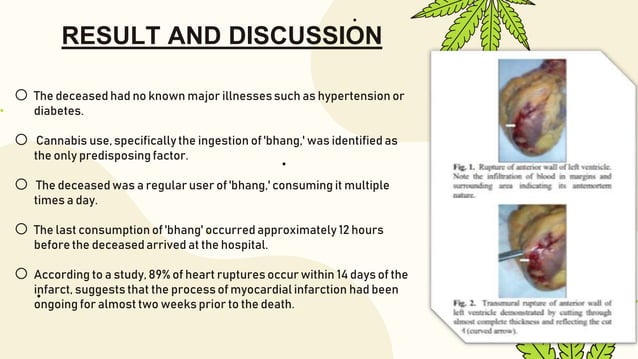 Substance of Abuse : Case studies and review. | PPTX | Illegal Drugs ...