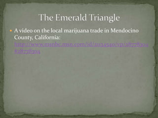 Substance Abuse And Society | PPTX