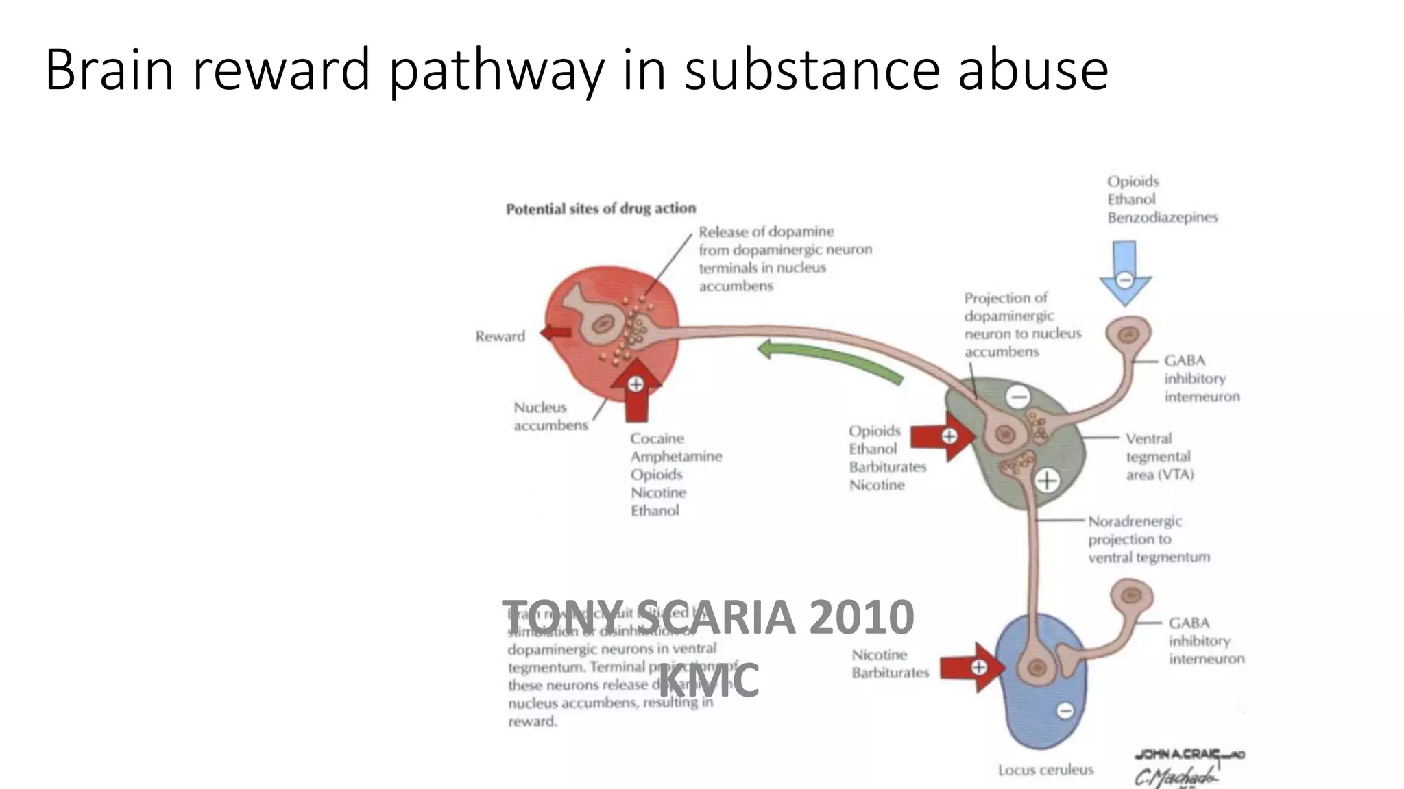 Substance abuse disorders PSYCHIATRY REVISION NOTES | PDF
