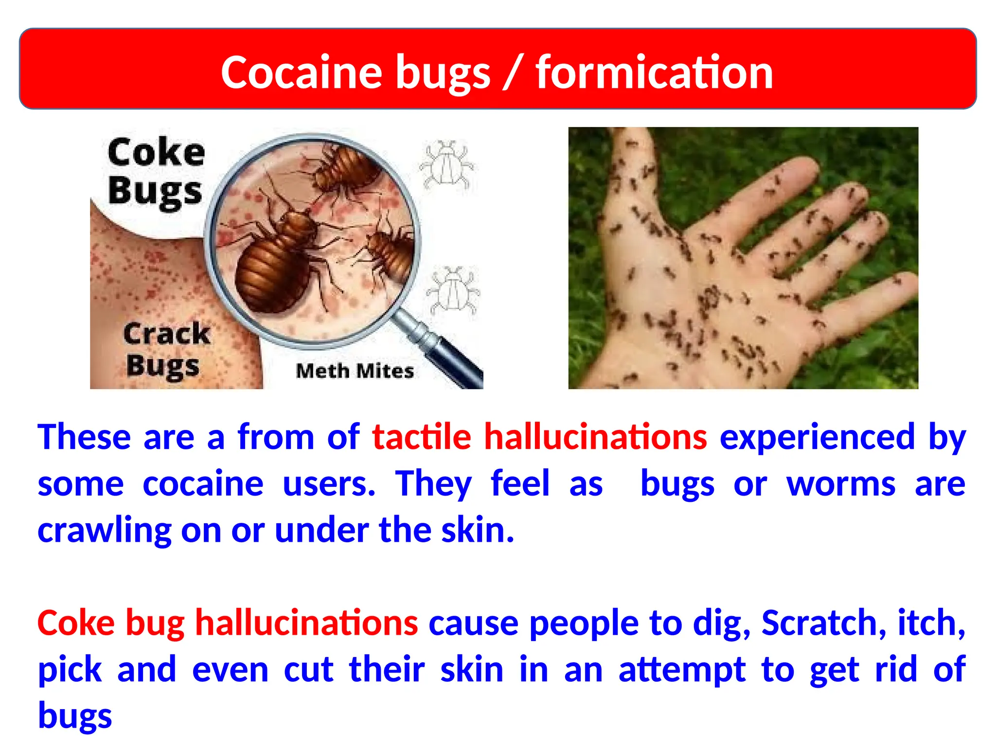 Substance Use, Abuse and Dependence .pptx