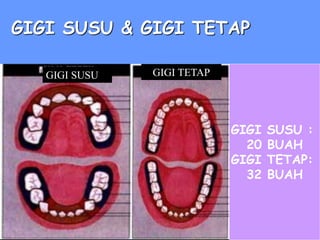 Kesehatan gigi dan mulut pada anak - anak | PPT
