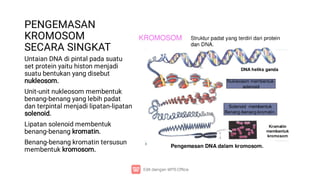 SUBSTANSI GENETIK.pdf