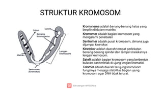 SUBSTANSI GENETIK.pdf
