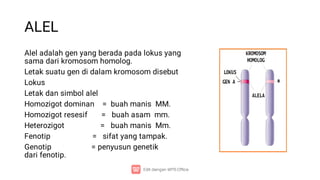SUBSTANSI GENETIK.pdf