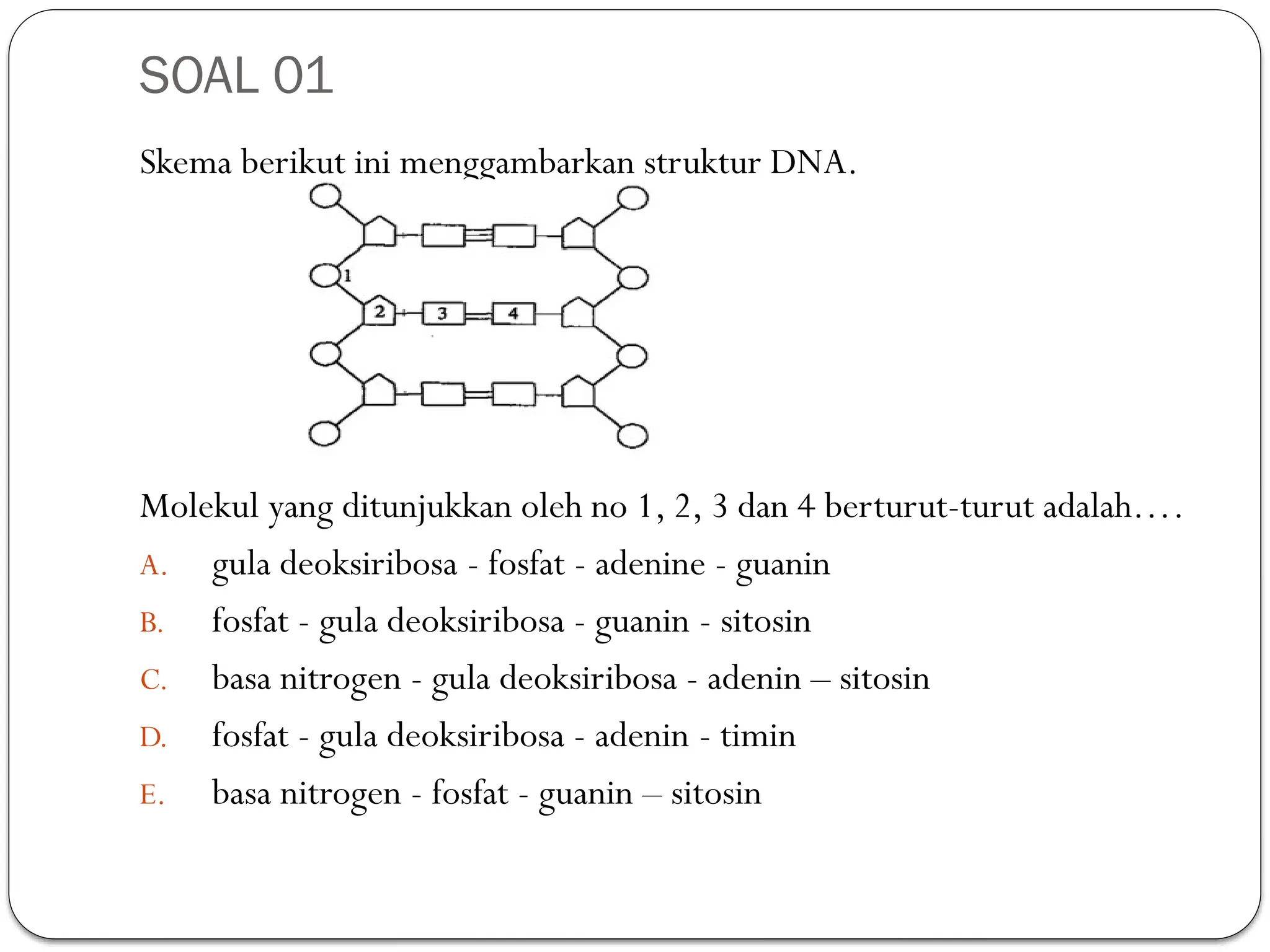 SUBSTANSI GENETIKA_SMA/MA KELAS XII.pptx