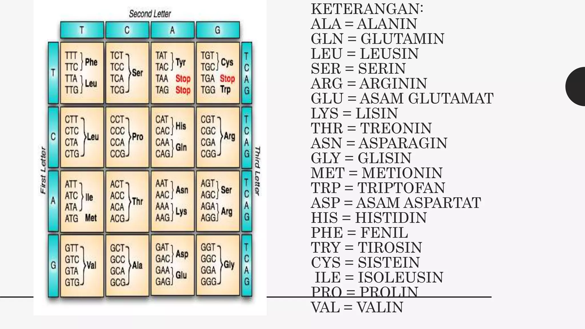Substansi Genetika - Kelas 12 SMA - SMT 1 | PPTX