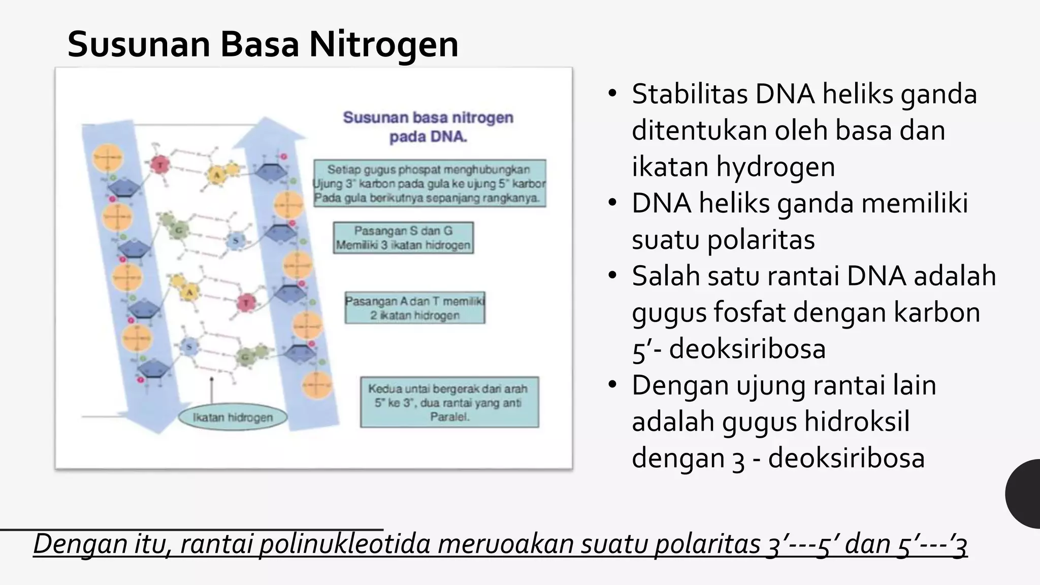 Substansi Genetika - Kelas 12 SMA - SMT 1 | PPTX