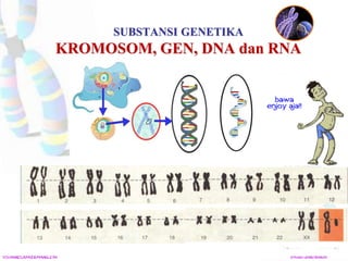 SUBSTANSI GENETIKA.ppt