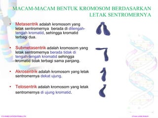 SUBSTANSI GENETIKA.ppt