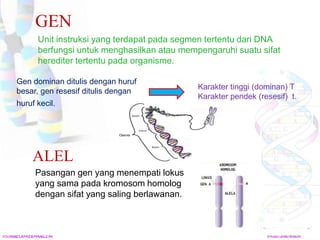 SUBSTANSI GENETIKA.ppt