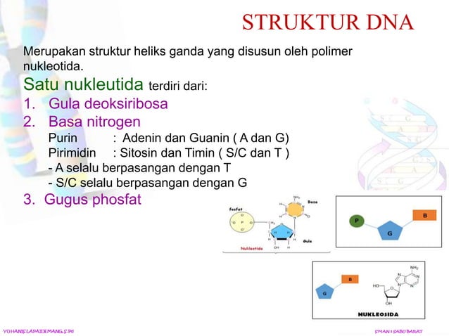 SUBSTANSI GENETIKA.ppt | Free Download
