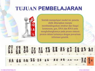 SUBSTANSI GENETIKA.ppt