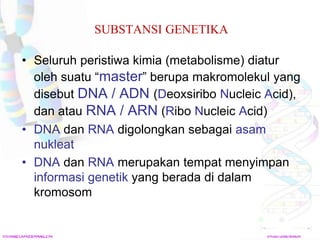 SUBSTANSI GENETIKA.ppt