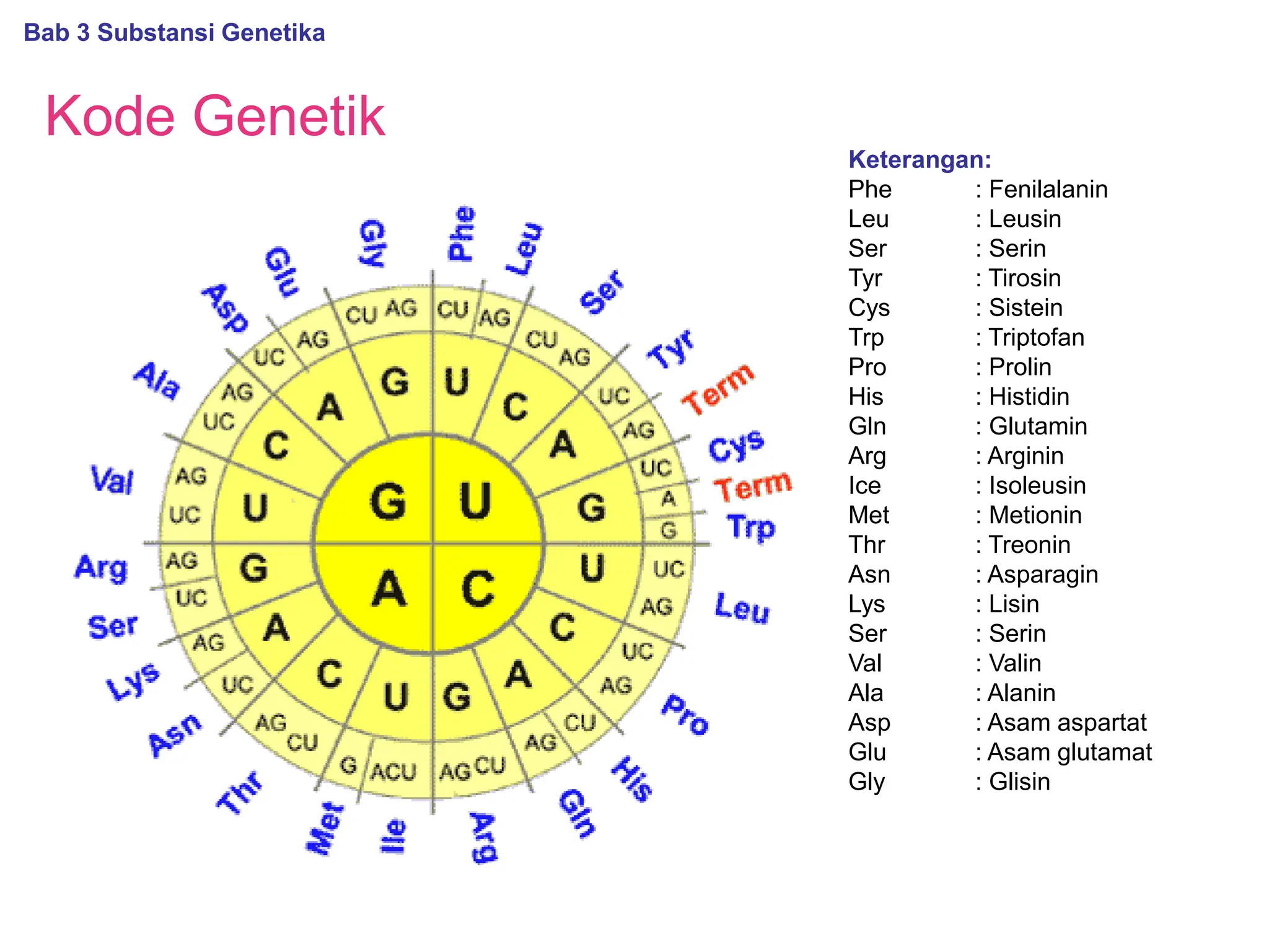 SUBSTANSI_GENETIKA.ppt