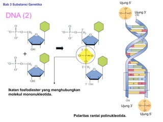 SUBSTANSI_GENETIKA.ppt