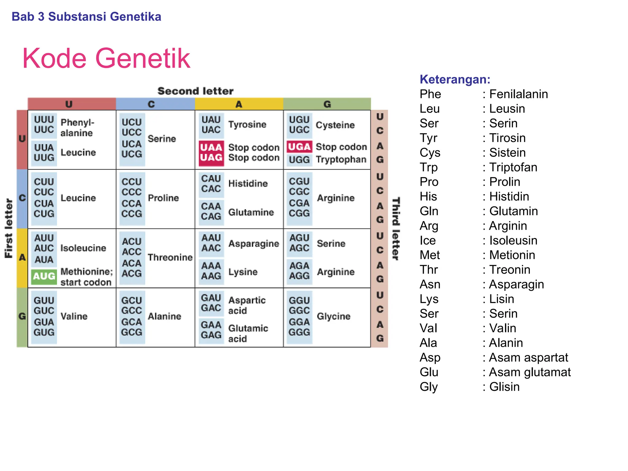 Materi Ajar kelas XII SUBSTANSI_GENETIKA | PPT