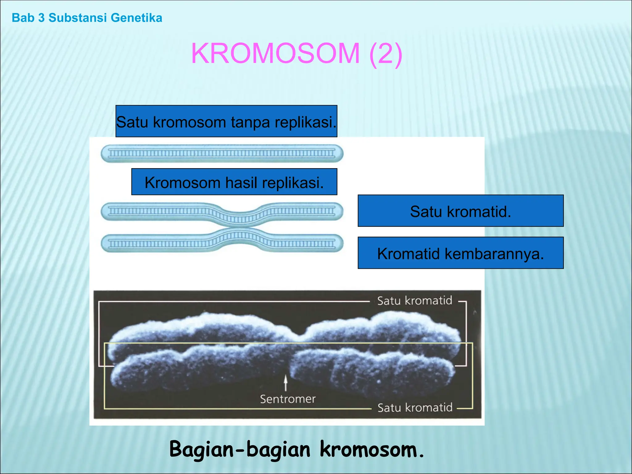 Biologi Molekuler mengenai SUBSTANSI_GENETIKA.ppt