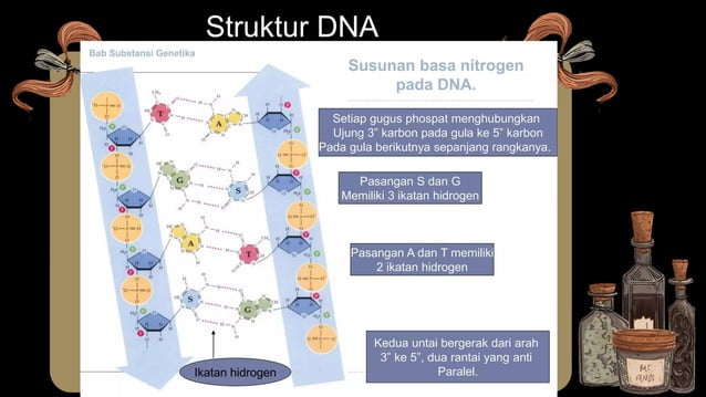 PPT Materi Substansi Genetika kelas XIIt.pptx