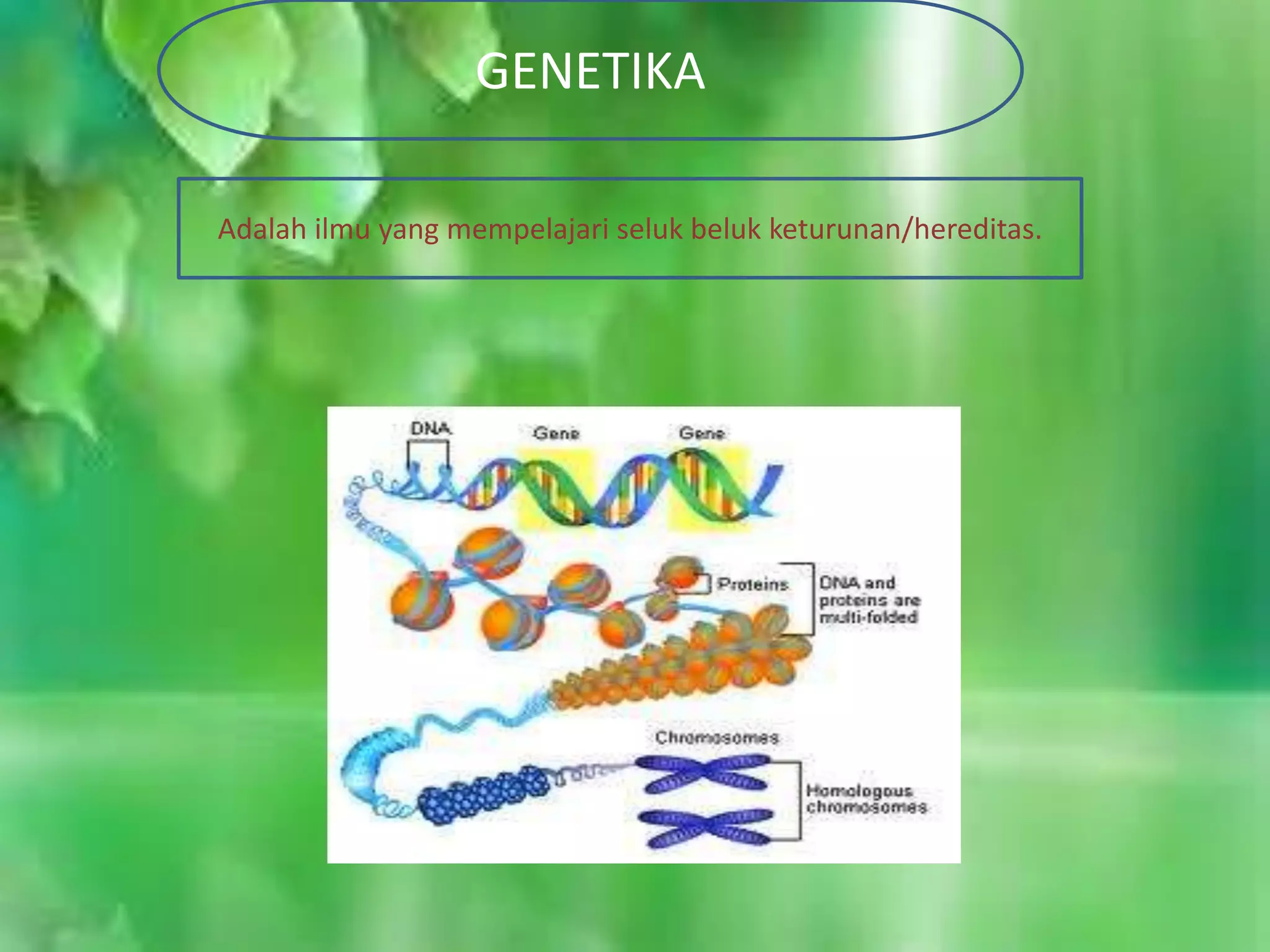 Substansi genetika & hereditas | PPTX