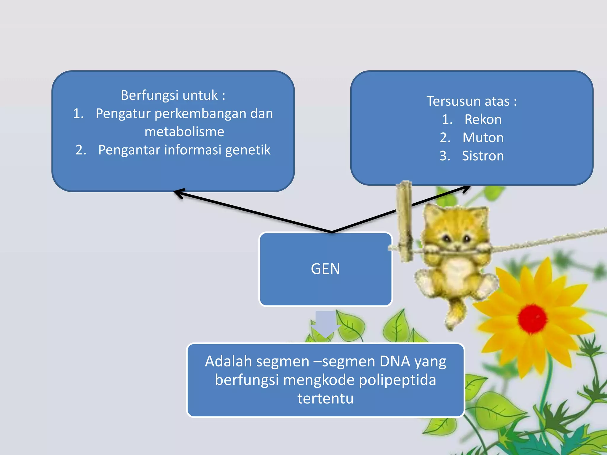 Substansi genetika & hereditas | PPT | Free Download