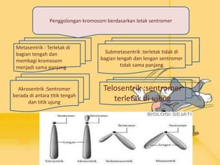 Substansi genetika & hereditas | PPTX