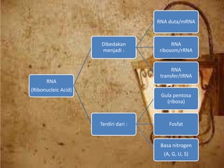 Substansi genetika & hereditas | PPT