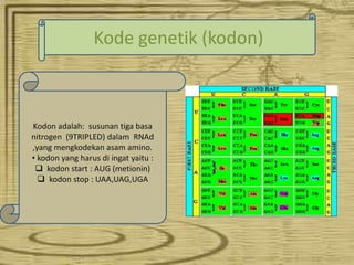 Substansi genetika & hereditas | PPT