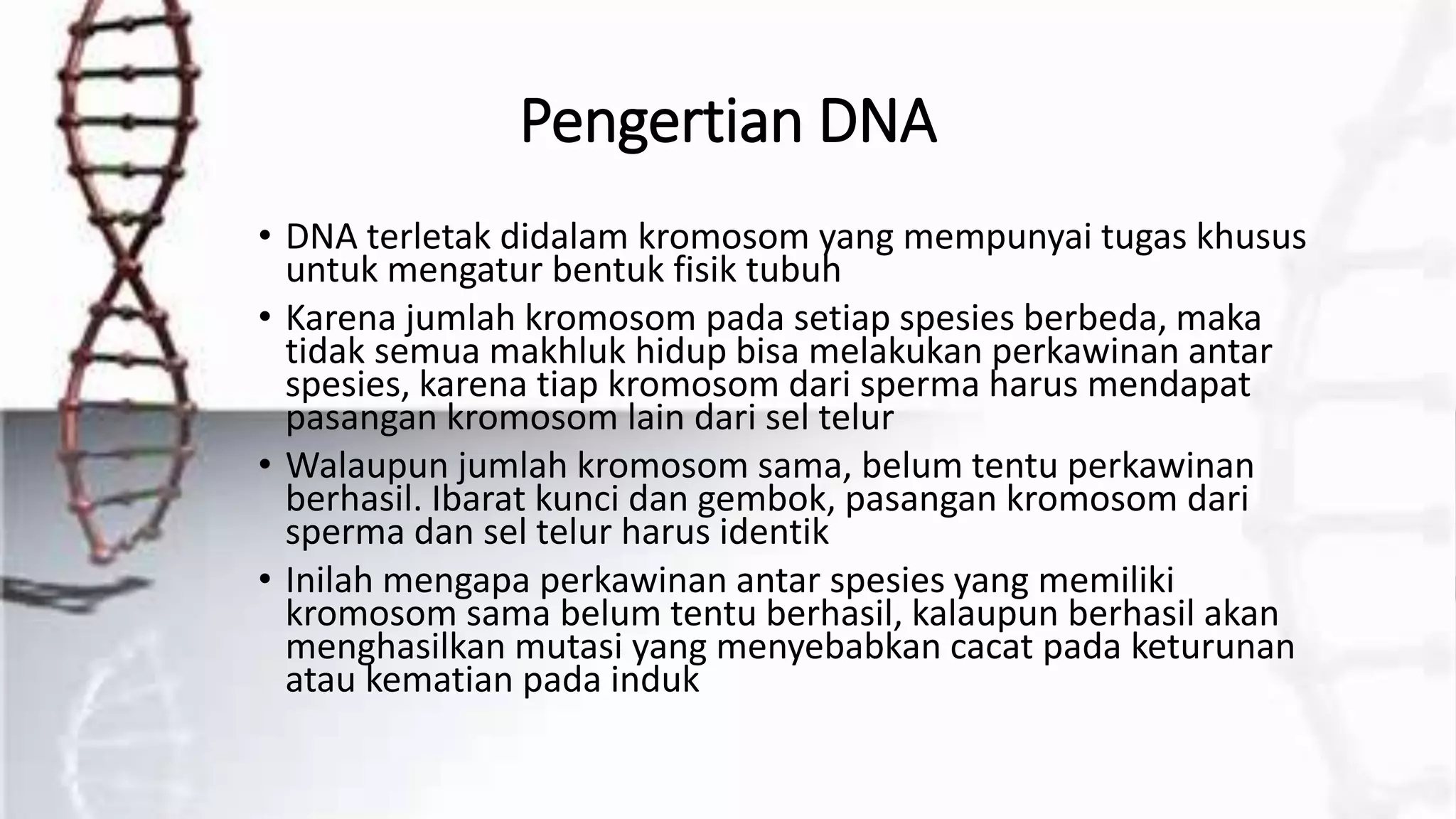 Substansi materi genetik | PPTX