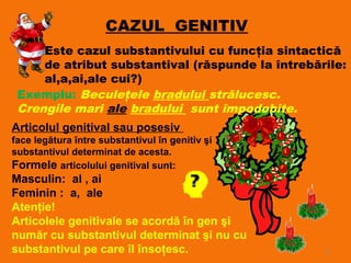 Substantivulclv | PPT