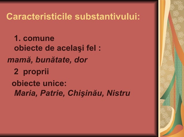 Substantivul iac | PPT