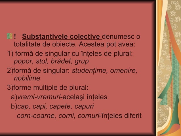 Substantivul iac | PPT