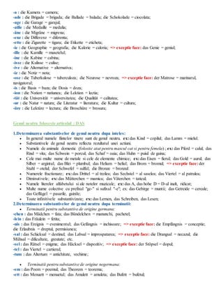 Substantivul in germana | PDF