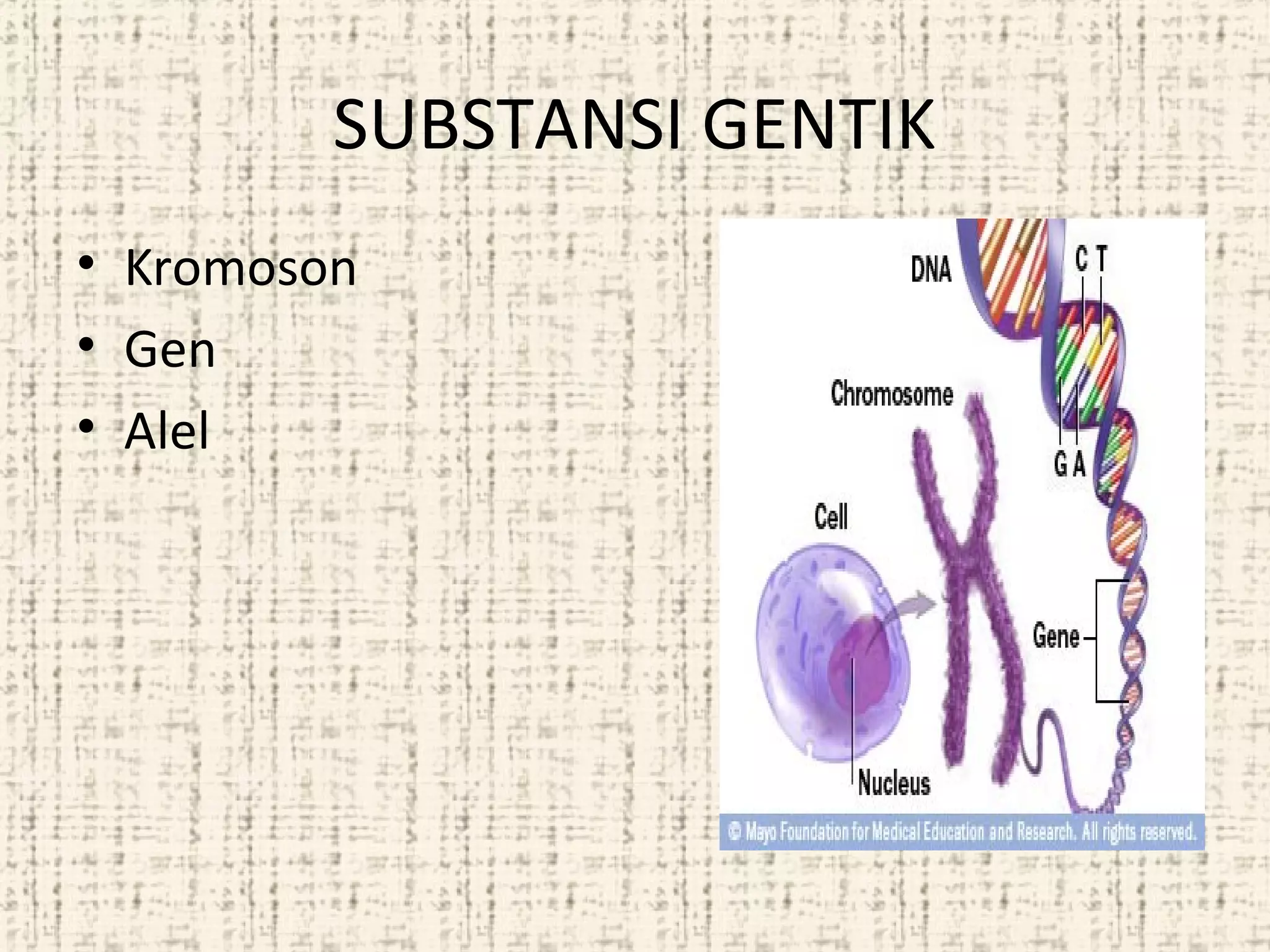 Substasi genetik dan sintesis protein | PPT