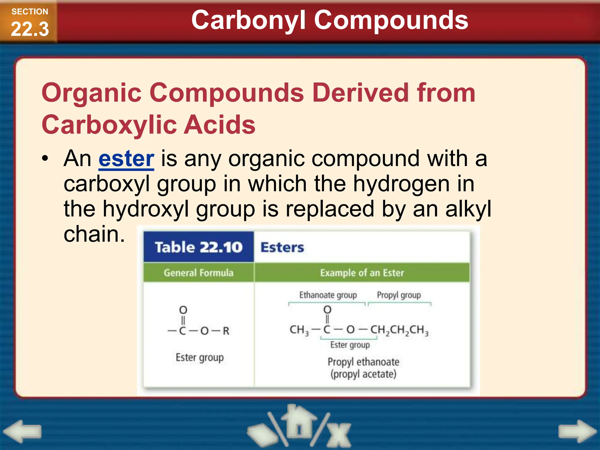 Substituted Hydrocarbons and reactions.ppt