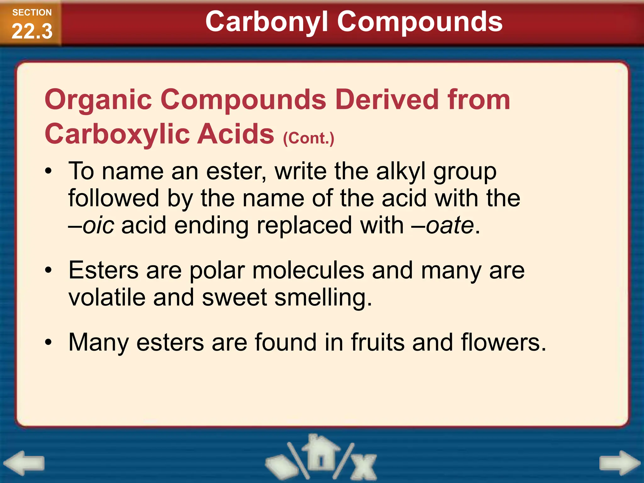 Substituted Hydrocarbons and reactions.ppt