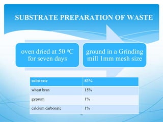 Substrate evaluation for spawn production and yield of oyster mushroom ...