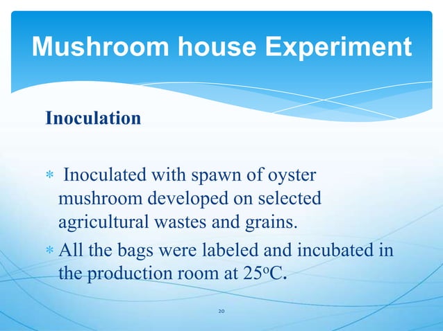 Substrate Evaluation For Spawn Production And Yield Of Oyster Mushroom
