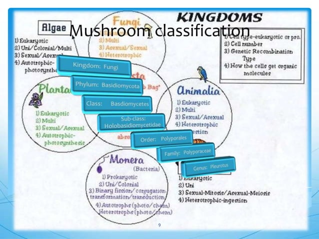 Substrate Evaluation For Spawn Production And Yield Of Oyster Mushroom