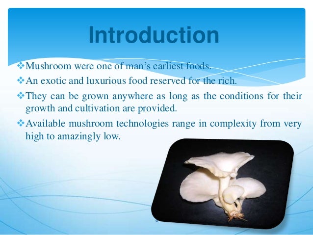 Substrate Evaluation For Spawn Production And Yield Of Oyster Mushroom