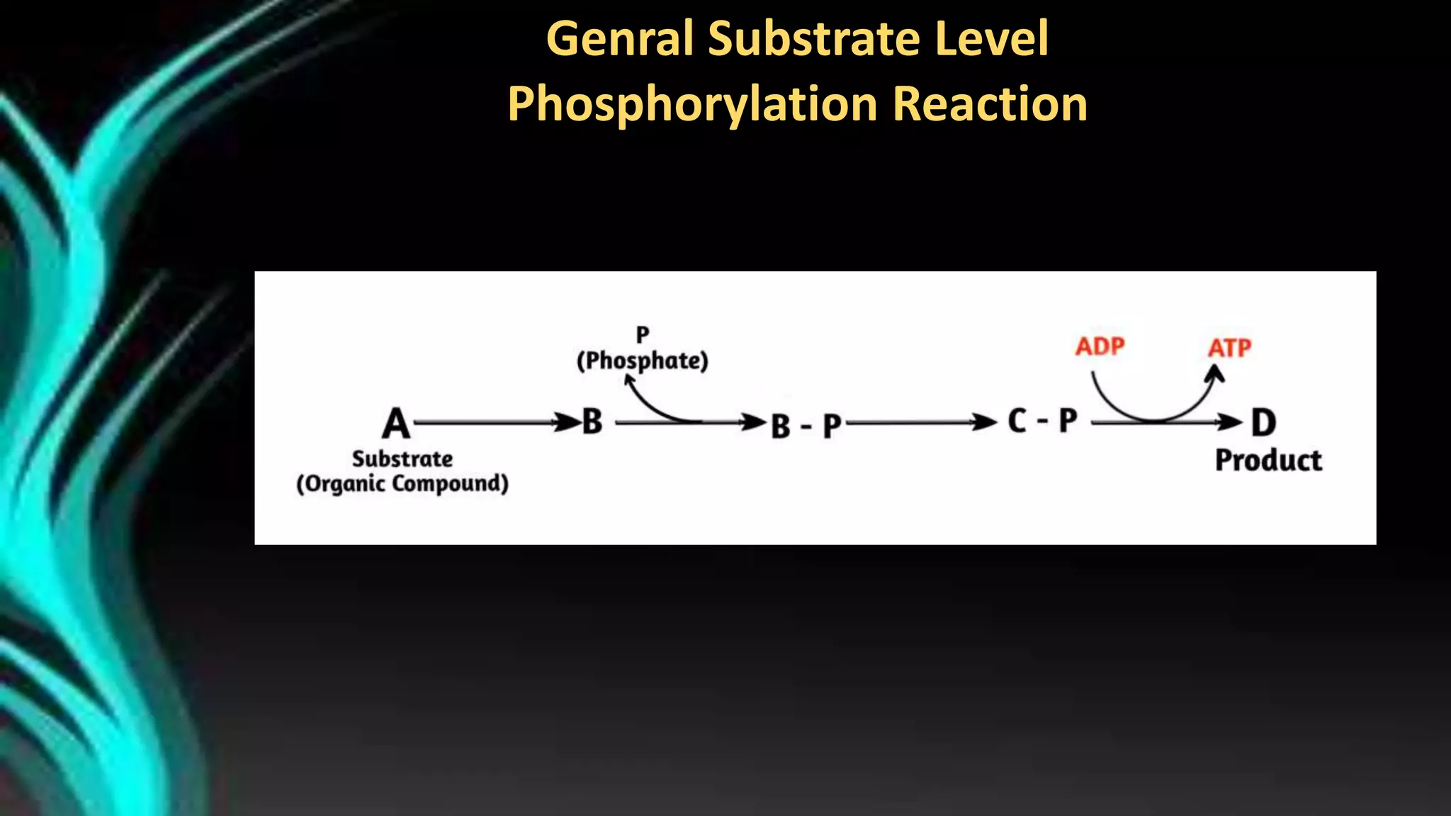 Substrate level phosphorylation and it's mechanism || Biochemistry || B ...