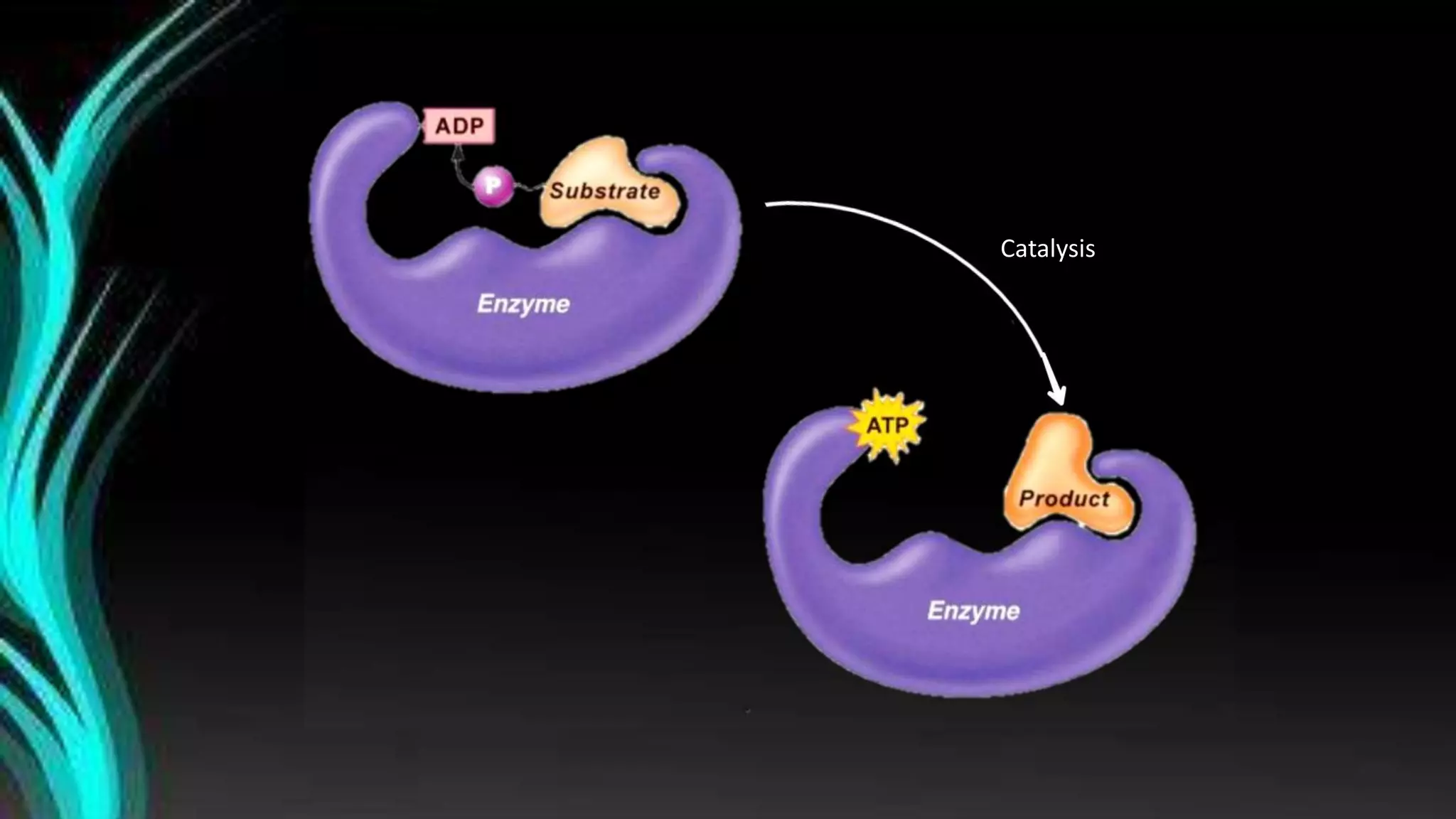 Substrate level phosphorylation and it's mechanism || Biochemistry || B ...