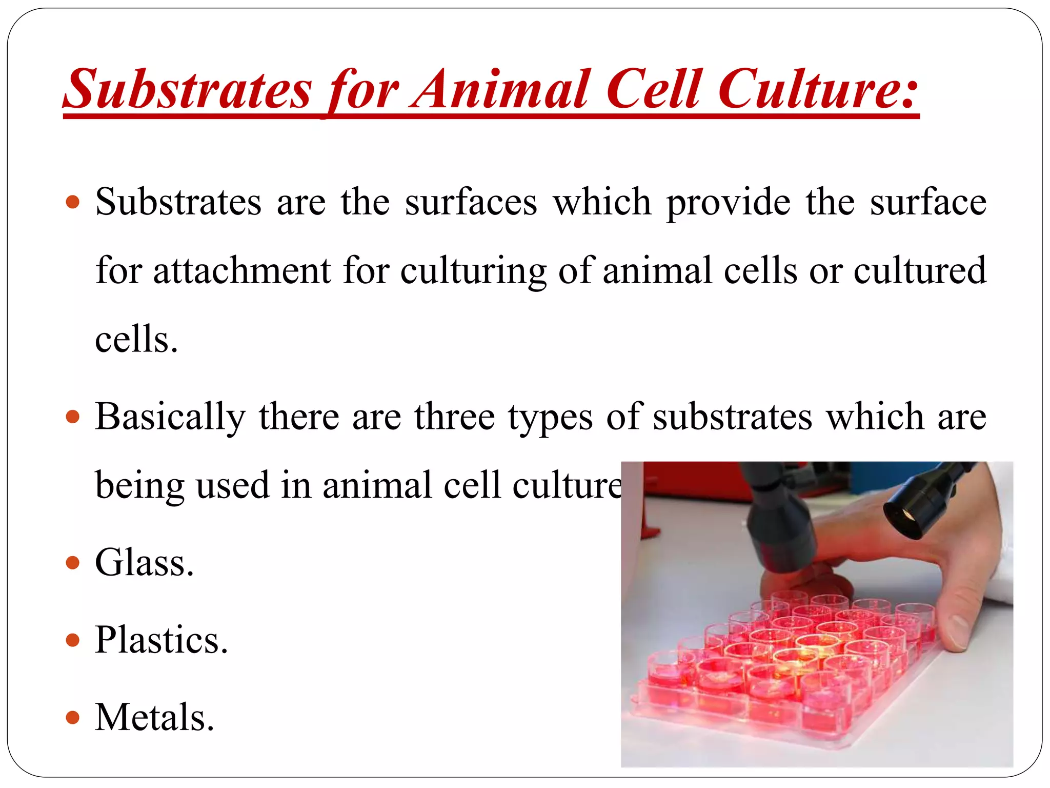 Substrates for animal cellculture | PPTX