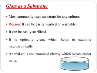 Substrates for animal cellculture | PPTX