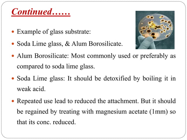 Substrates for animal cellculture | PPTX