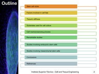 Substrate stiffness and cell fate | PDF | Biological Sciences | Science