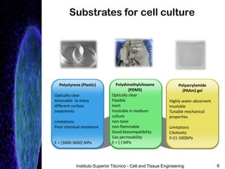 Substrate stiffness and cell fate | PDF | Biological Sciences | Science