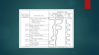 subsurface[1].pptx | Geology | Science